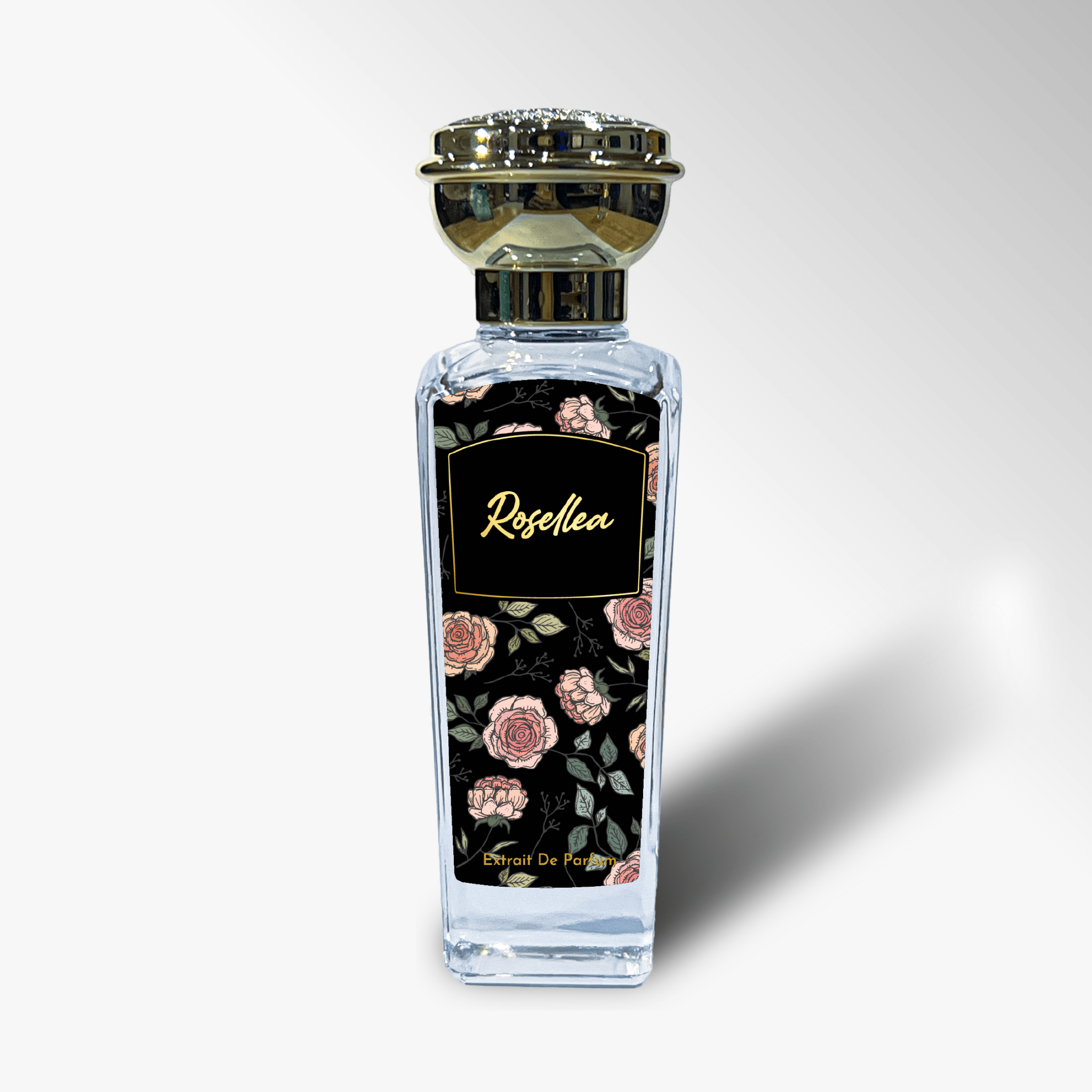 DT Perfumes – Where Elegance Meets Stardom